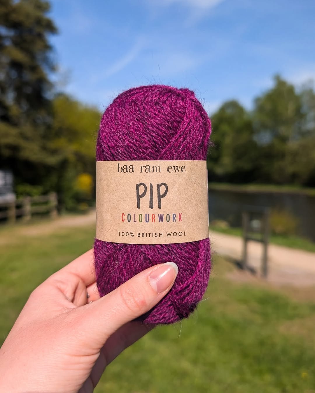 Baa Ram Ewe Pip Colourwork – yarn.bar